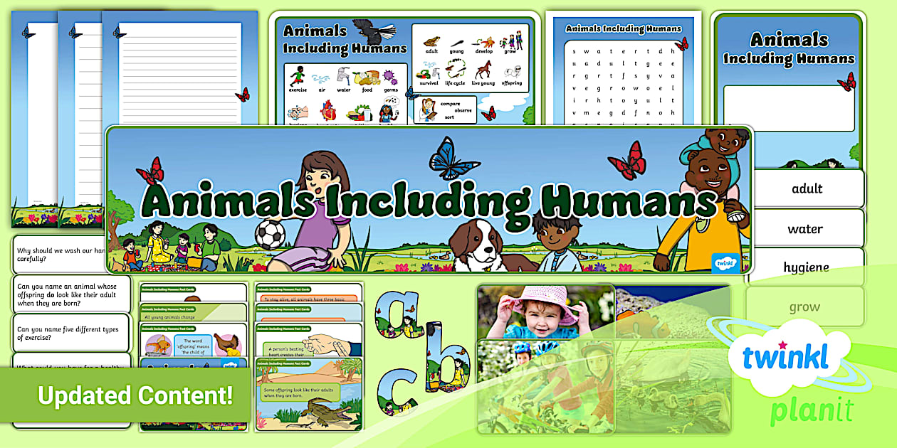 Science: Animals Including Humans: Additional Resources Year 2