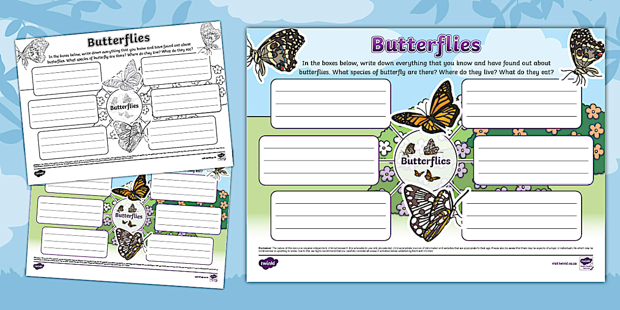 Grade 3 Life Skills Term 2 Butterflies Mind Map (CAPS Aligned)