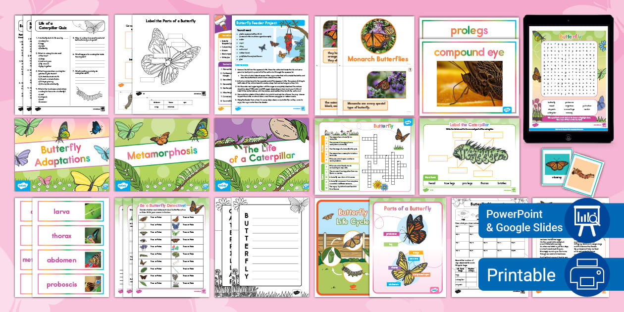 Butterfly Life Cycle Spring Science Unit Pack for K-2nd Grade