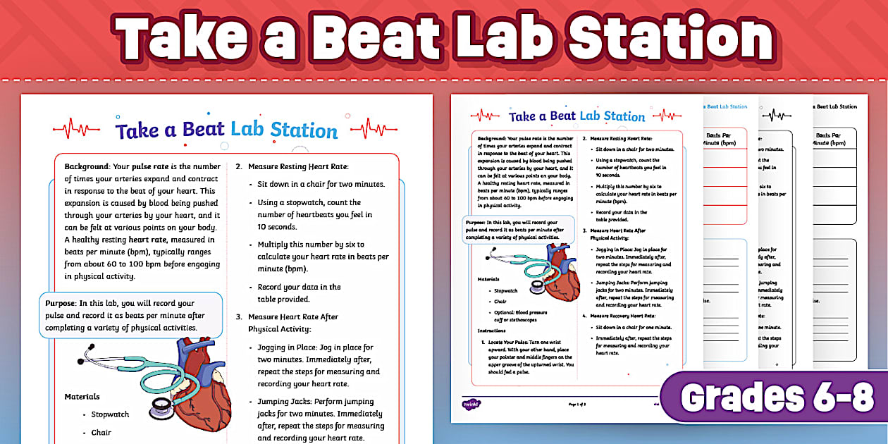 Hands-On Circulatory System: Take a Heartbeat Lab Station