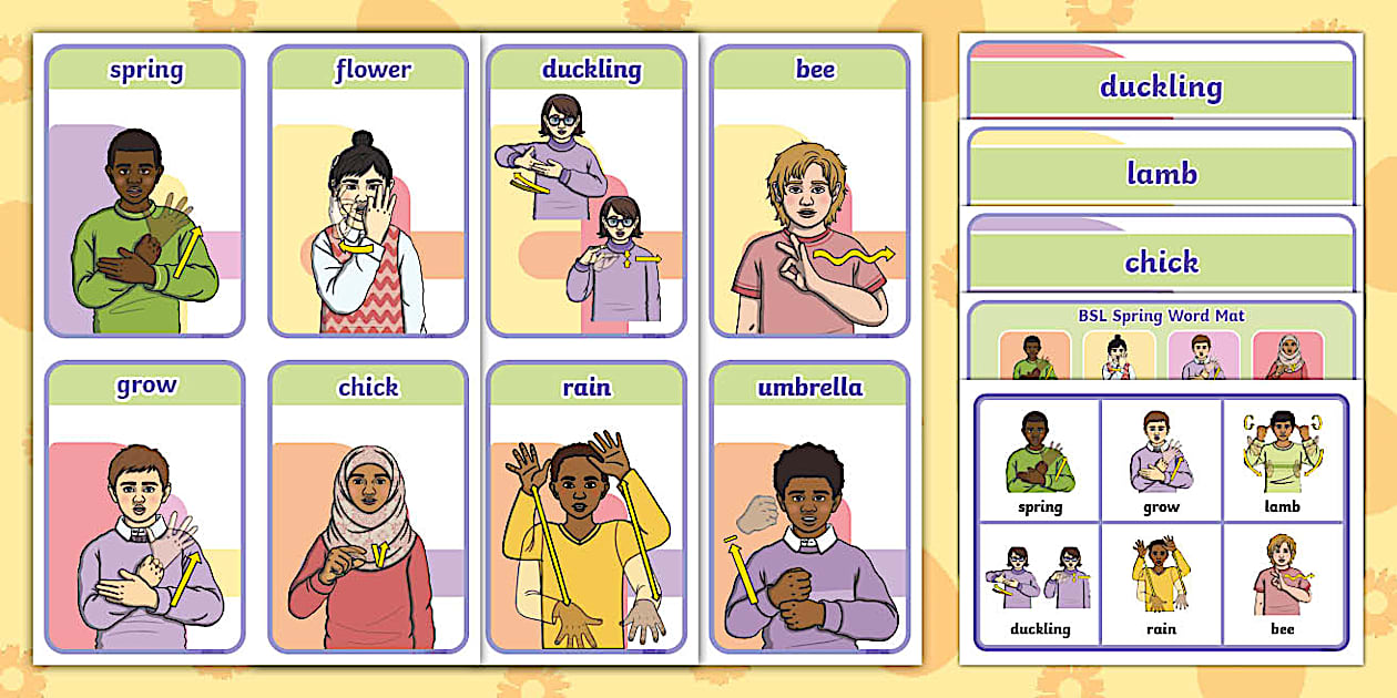 BSL Spring Resource Pack (teacher made) - Twinkl