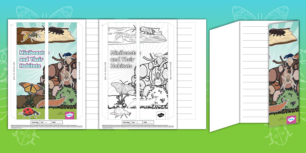 Minibeasts and Their Habitats Folding Writing Template