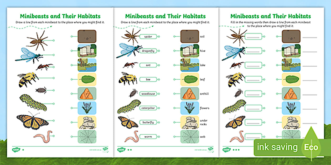 TAS Minibeast and Their Habitats Worksheet (teacher made)