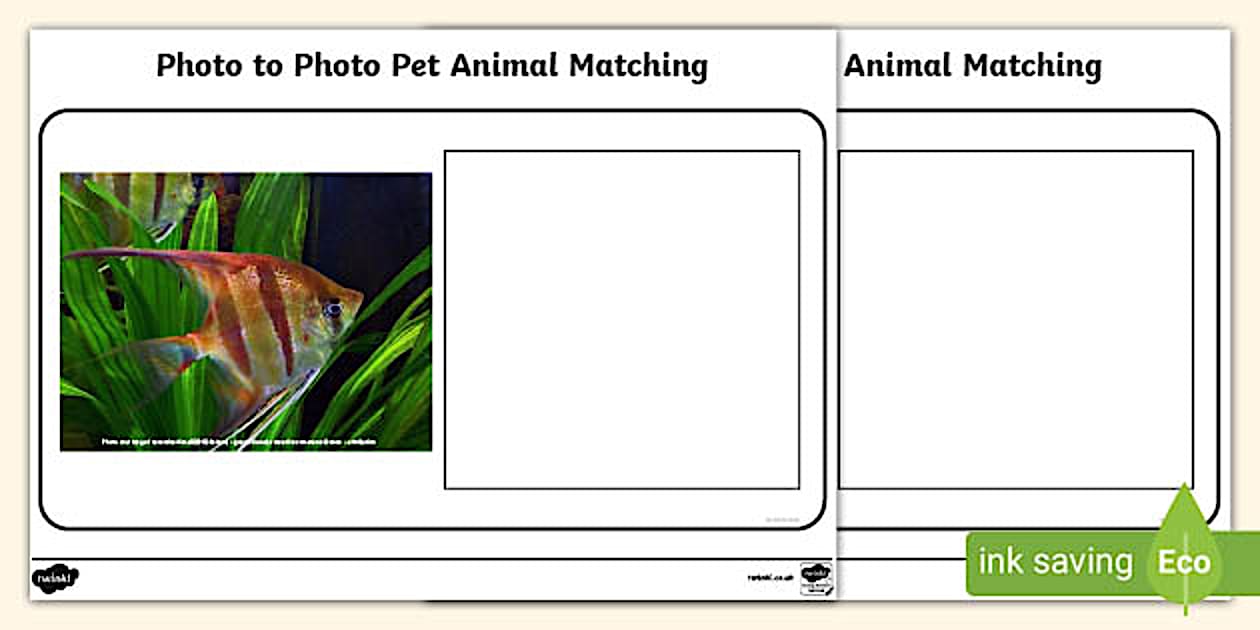 Workstation Pack: Photo to Photo Pet Animals Matching Activity