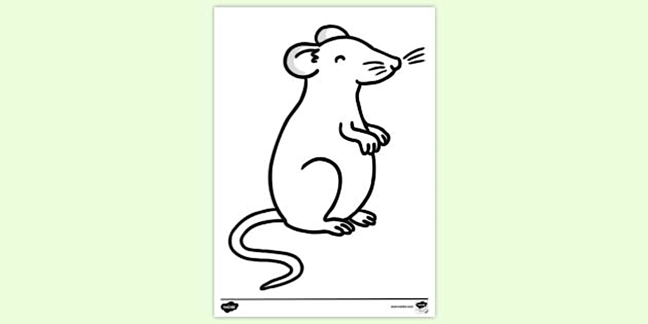 Field Mouse Colouring Sheet - Worksheets (teacher made)