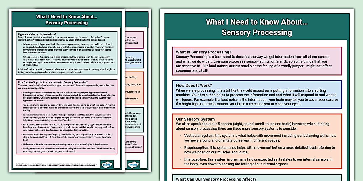 What I Need To Know About... Sensory Processing - Twinkl