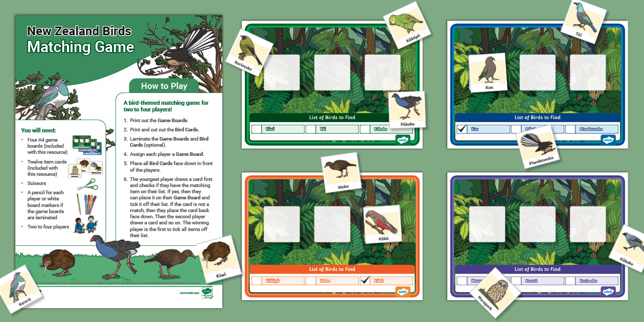 New Zealand Birds Matching and Memory Game (teacher made)