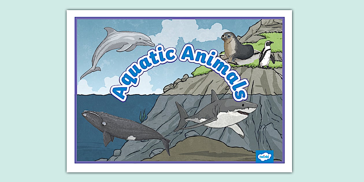 Aquatic Animals Display Poster (teacher made) - Twinkl