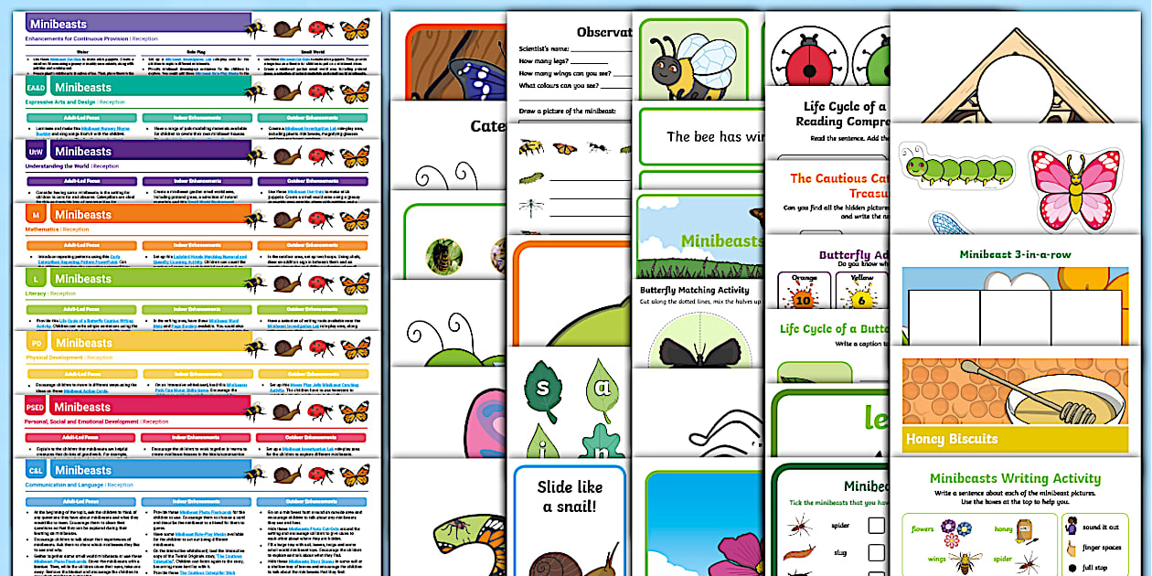 EYFS Minibeasts Activity Planning and Continuous Provision