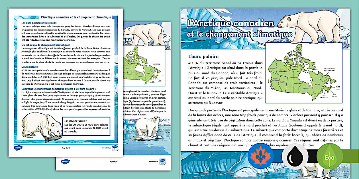 Canada's Arctic Climate Change Effect on the Polar Bear Fact File French