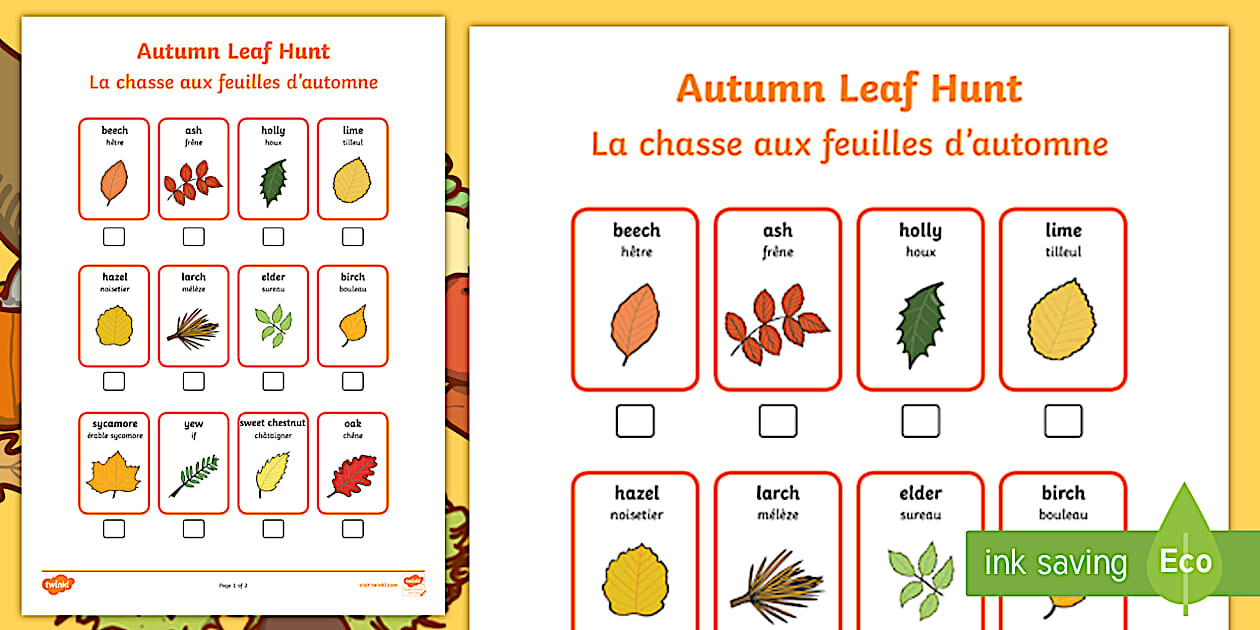 Autumn Leaf Hunt Worksheet / Worksheet English/French