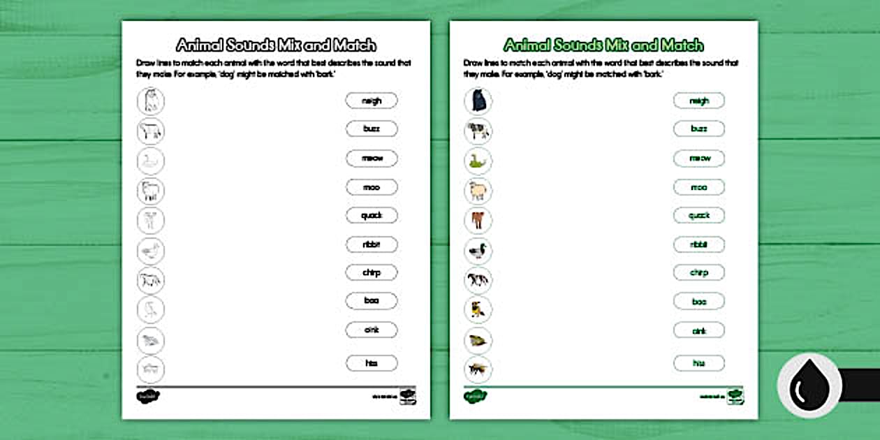 Animal Sounds Matching Activity (teacher made) - Twinkl