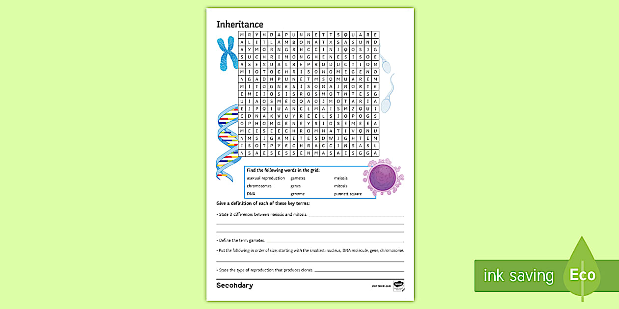 Inheritance Word Search (teacher made) - Twinkl