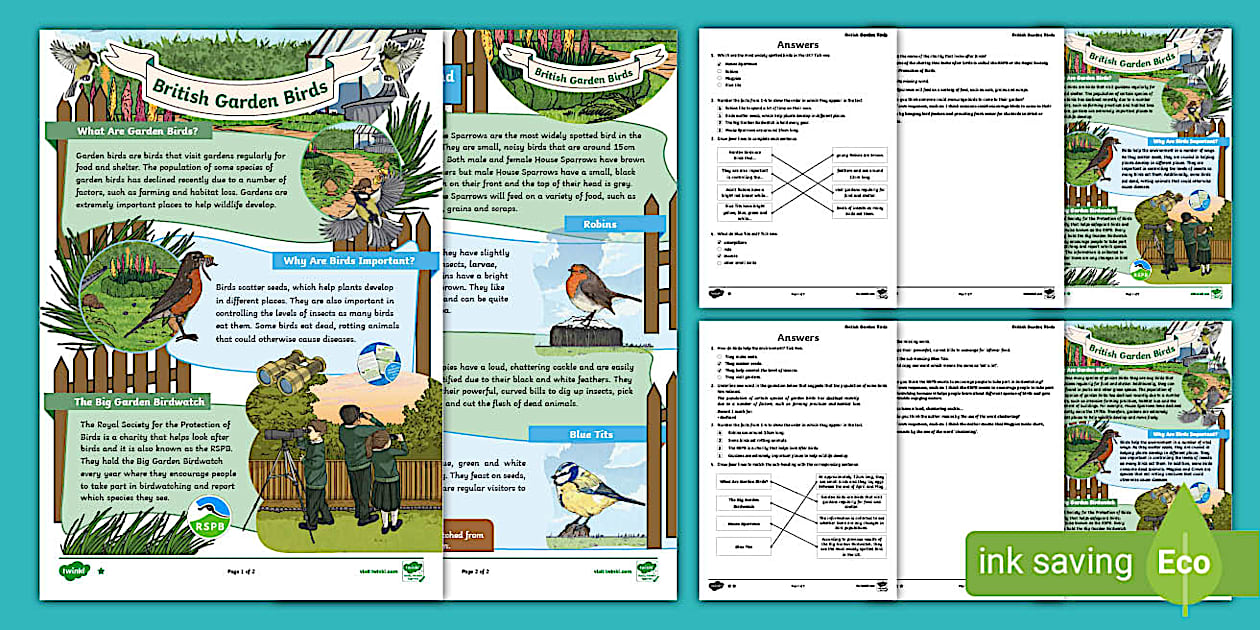 LKS2 British Garden Birds Reading Comprehension Activity