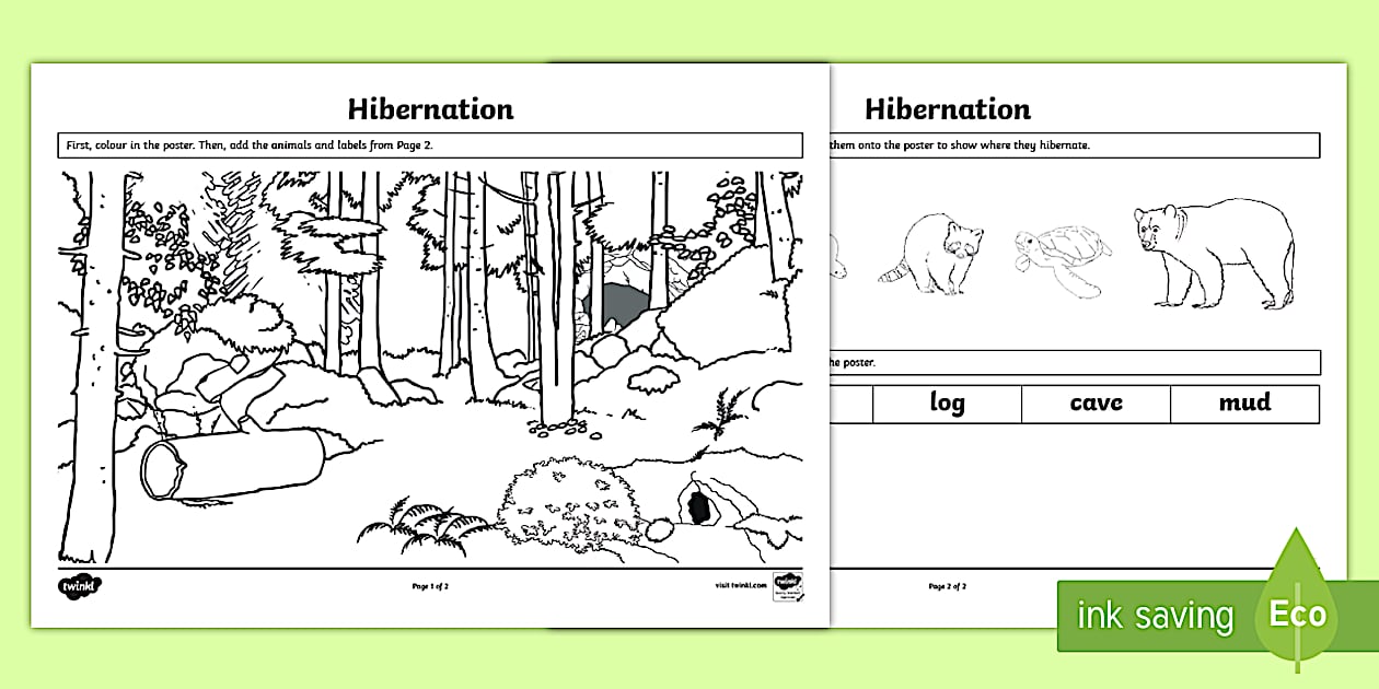 Hibernation Poster Worksheet | Ages 8-10 - Twinkl Resources