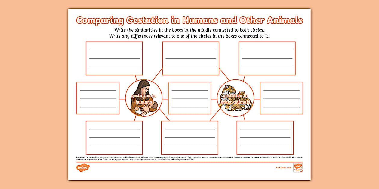 Comparing Gestation in Humans and Other Animals Mind Map