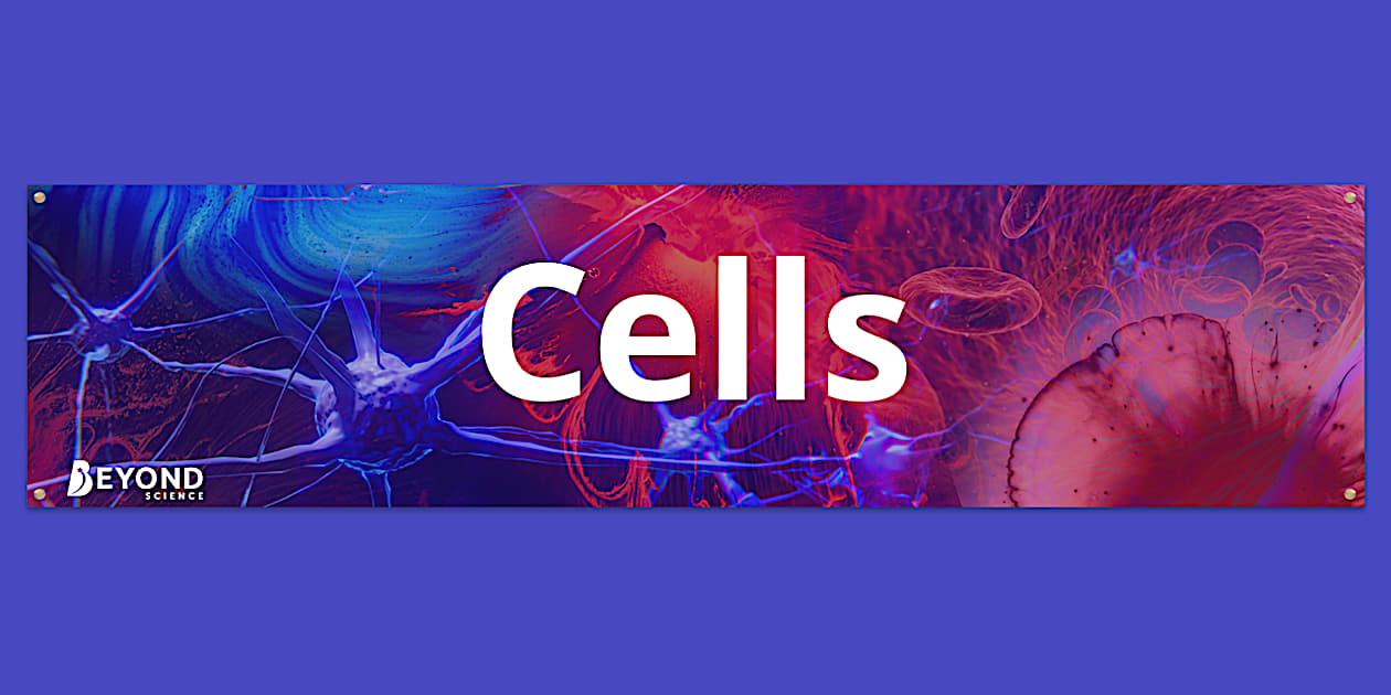 Cells Display Banner | Display Resources | Beyond - Twinkl