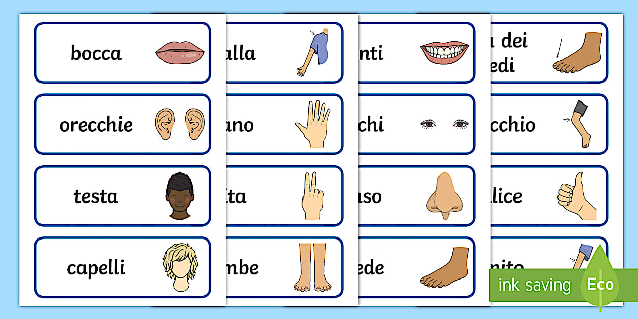 Editable Parts of the Body Word Cards Italian - Twinkl