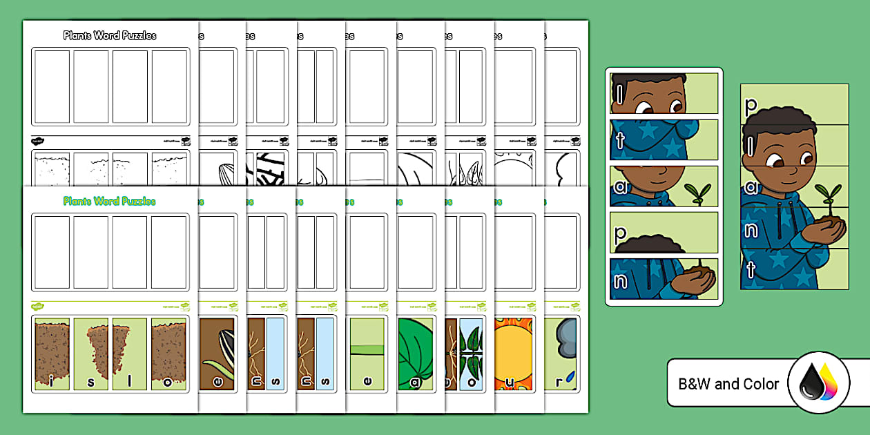 Plants Word Puzzles (teacher made) - Twinkl