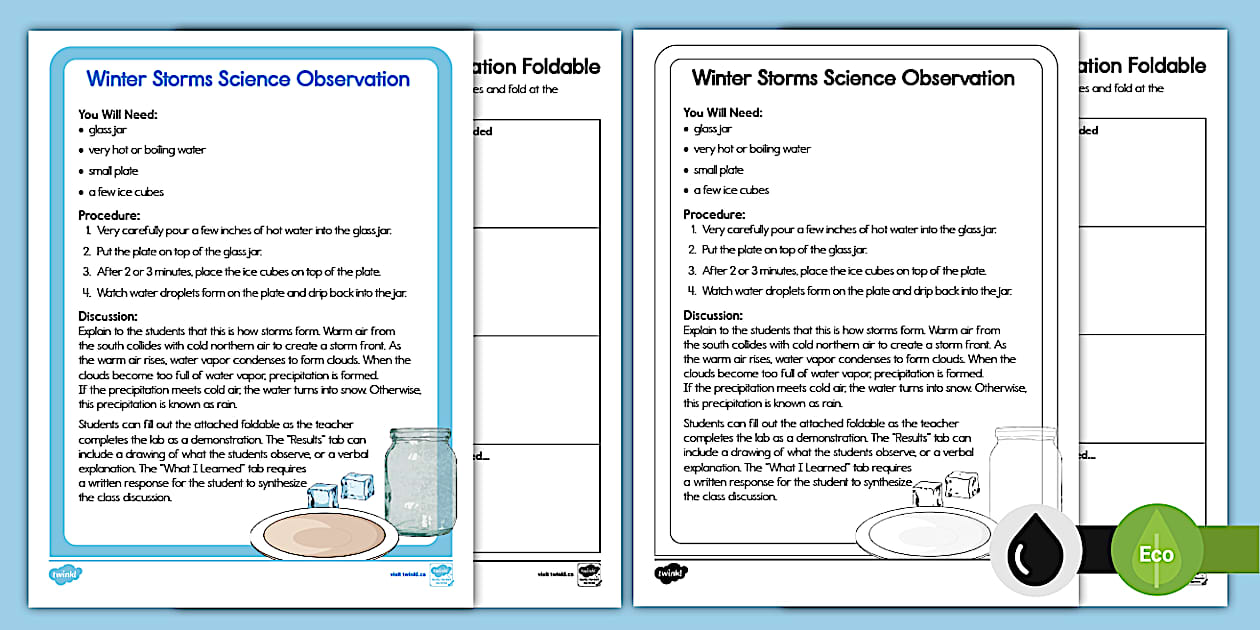 Winter Storms Science Observation Activity (teacher made)