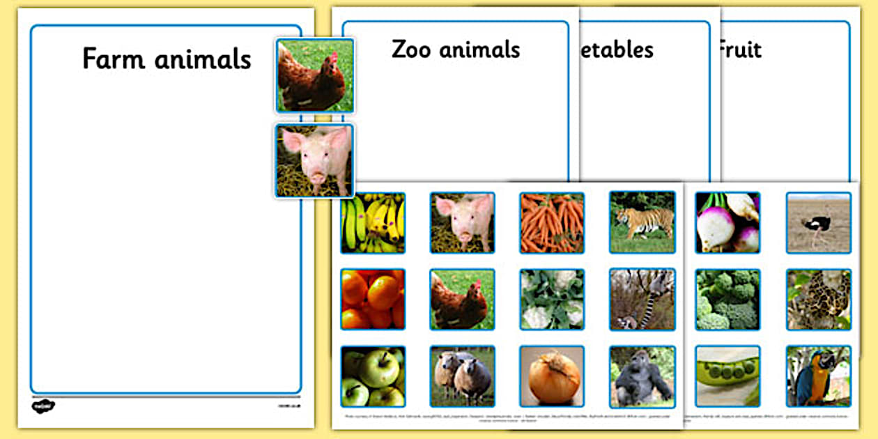 Photo Fruit, Vegetables, Farm Animals and Zoo Animals Sorting Activity ...
