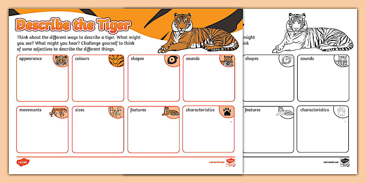 Tiger Adjectives Worksheet (teacher made) - Twinkl