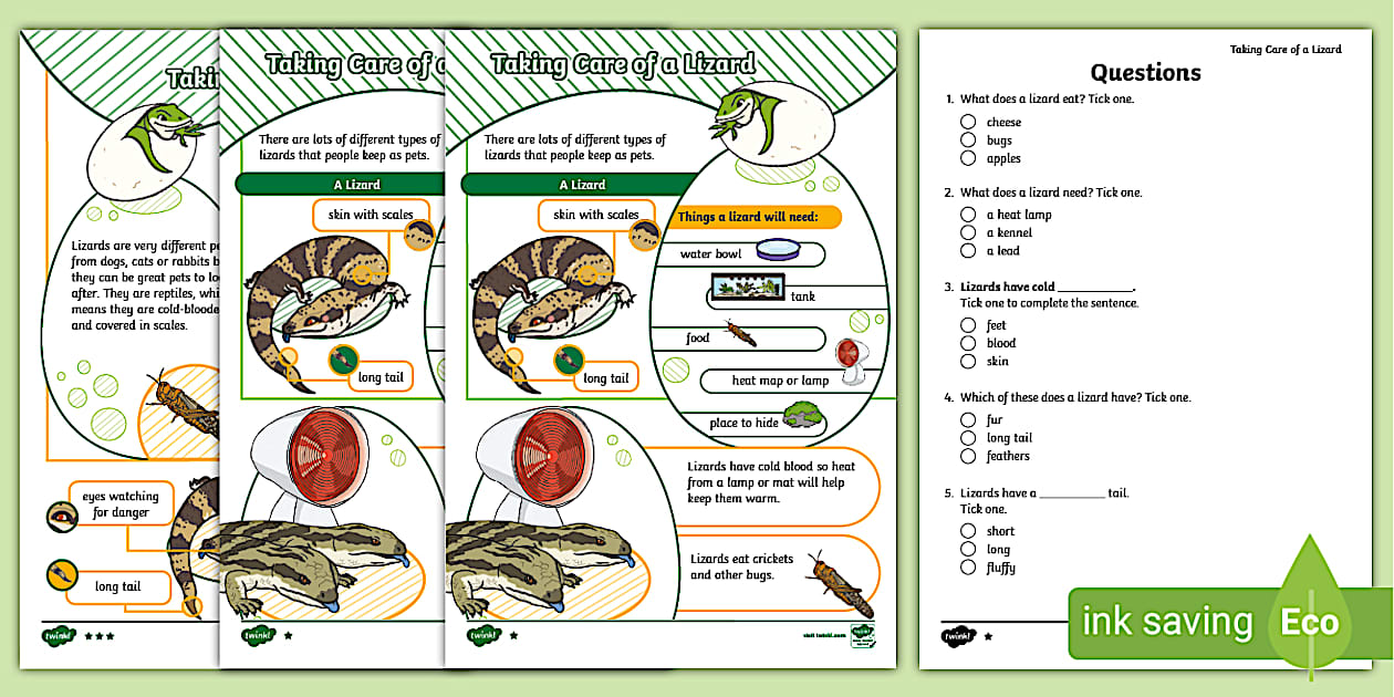 KS1 How to Look After a Lizard Differentiated Reading Comprehension