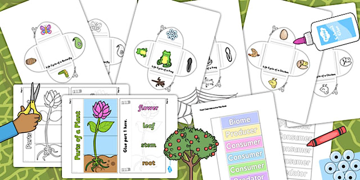 Science Lifecycles Interactive Visual Aids Resource Pack - life