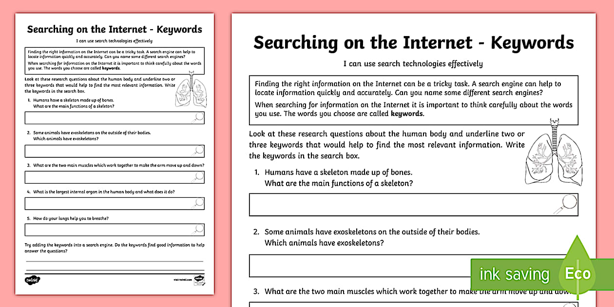 Searching the Internet: Human Body Keywords Worksheet / Worksheet