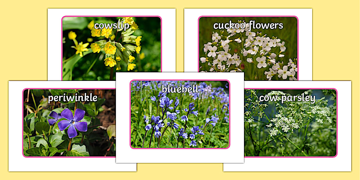 Easter Floral Display- Spring Flowers Photos - Twinkl