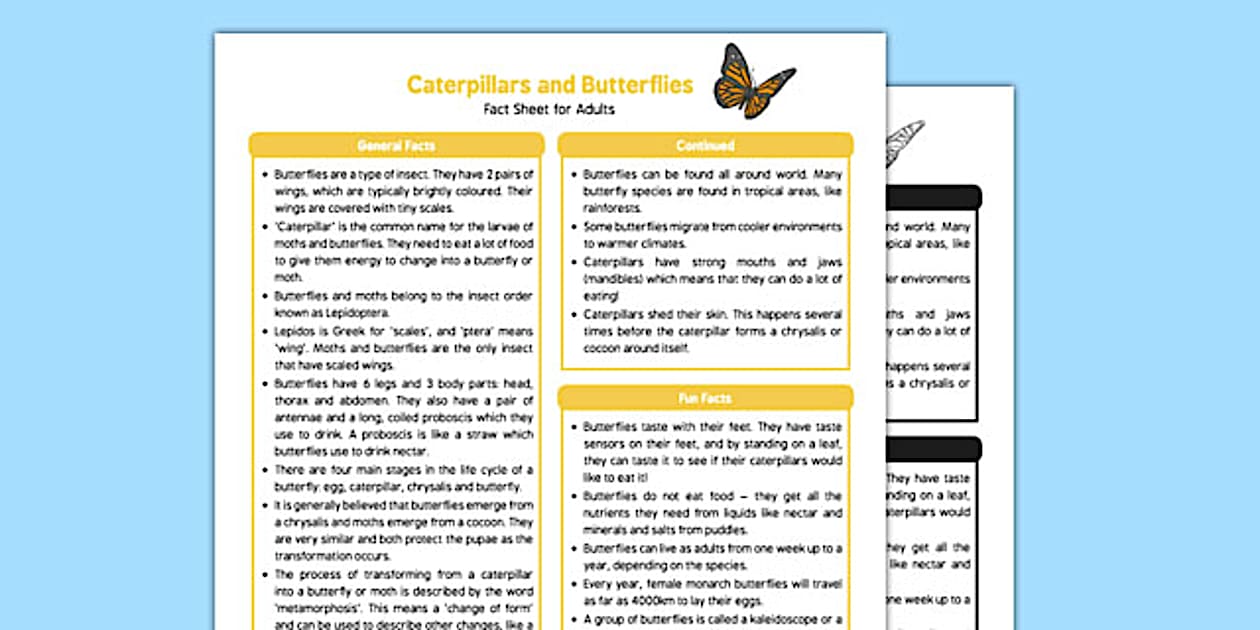Caterpillars and Butterflies Fact Sheet for Adults