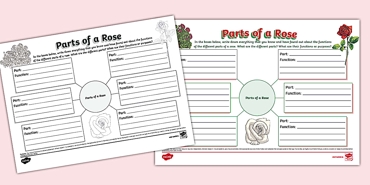 Parts of a Rose Mind Map
