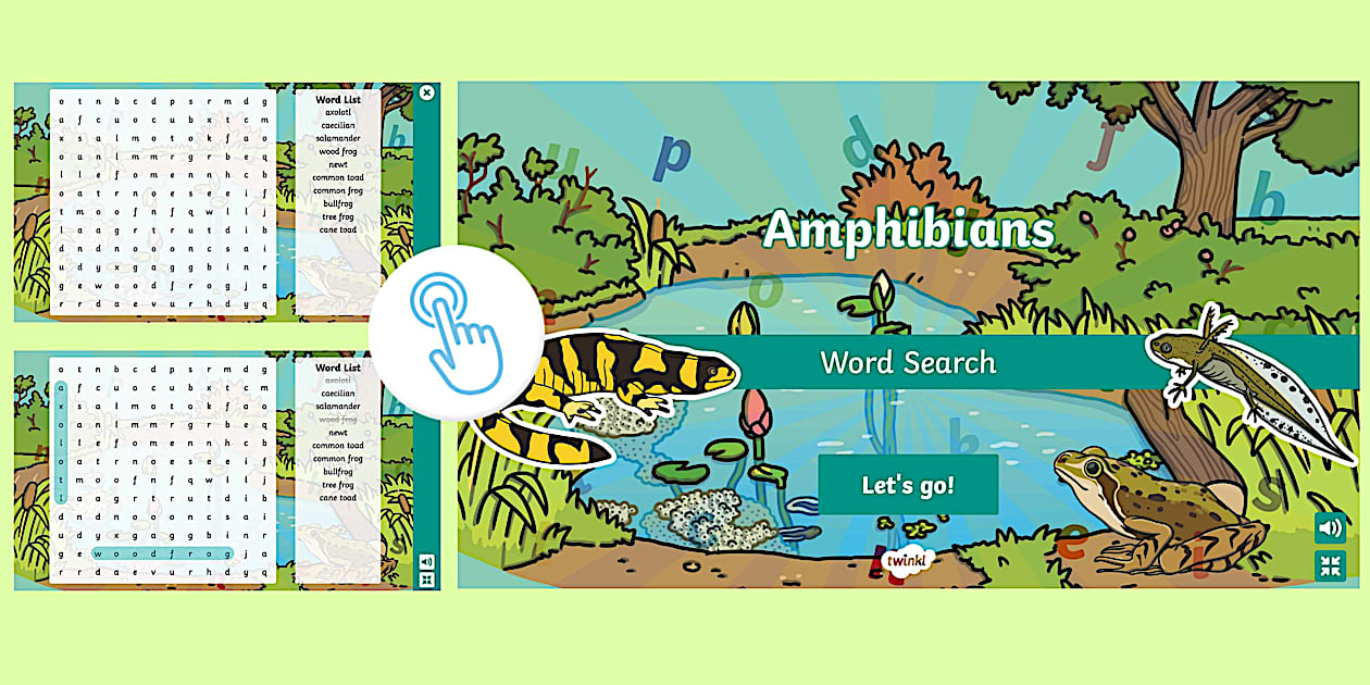 Amphibians Interactive Word Search (teacher made) - Twinkl