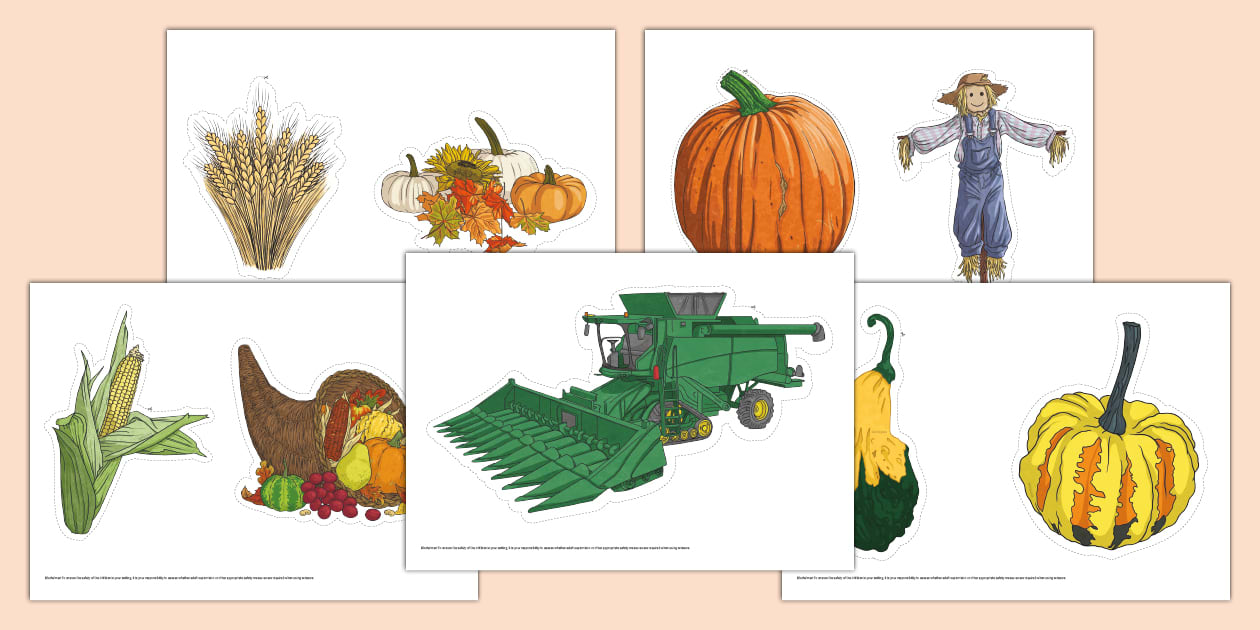 KS2 Harvest Festival Display Cut-Outs (teacher made)