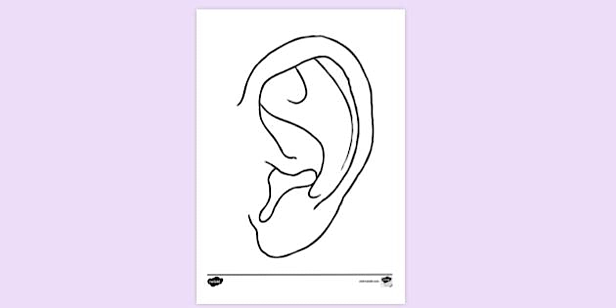 Generic Variation Ear Colouring | Colouring Sheets - Twinkl