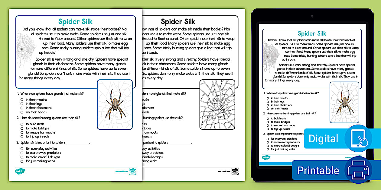 Second Grade Spider Silk Reading Passage Comprehension