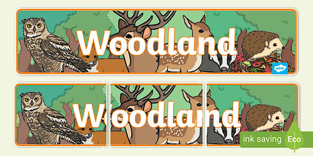 Woodland Display Banner (teacher made) - Twinkl