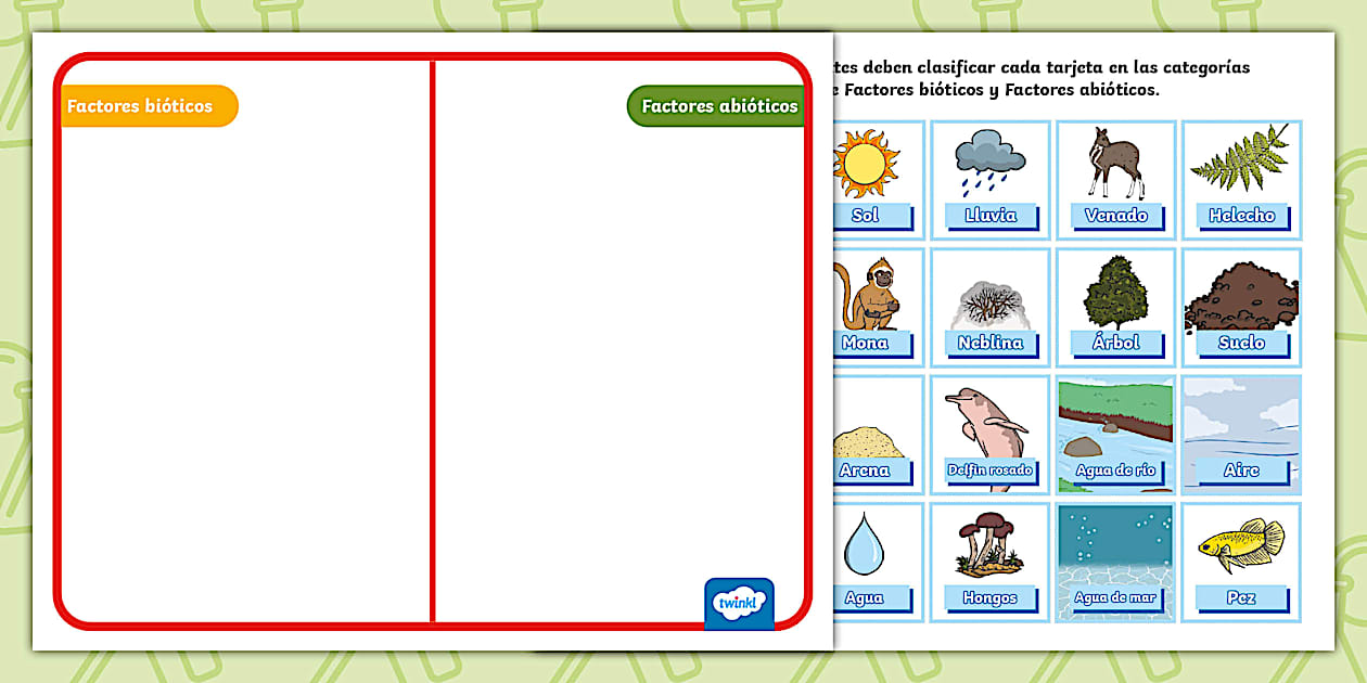 Tarjetas De Clasificación Ecosistemas Teacher Made