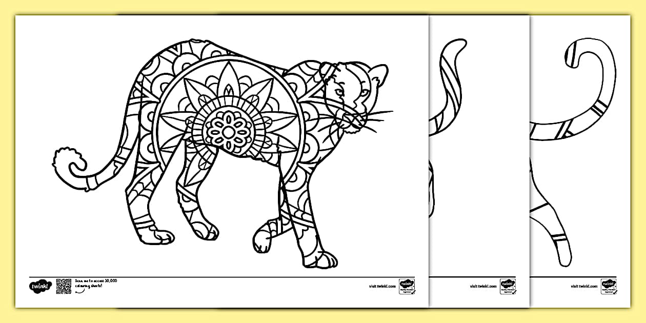 Leopard Mandala Colouring Pages - Twinkl - KS1 - Twinkl