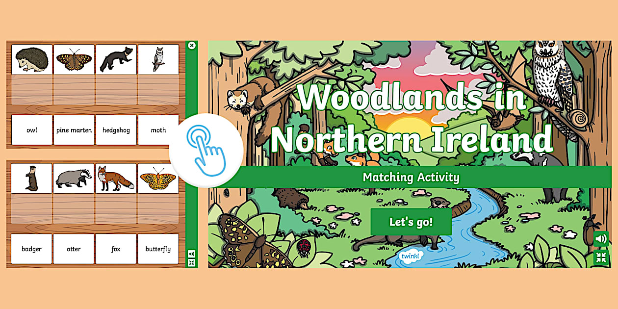 Woodlands in Northern Ireland Interactive Matching Activity
