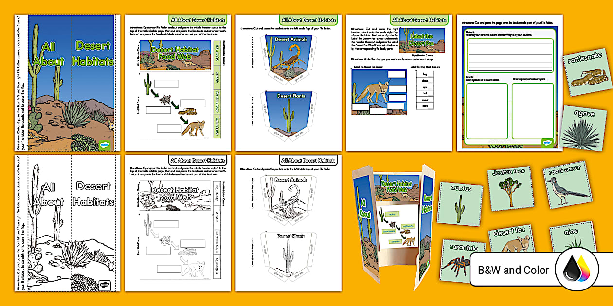 All About Desert Habitats Tri-Fold File Folder Activity Worksheet