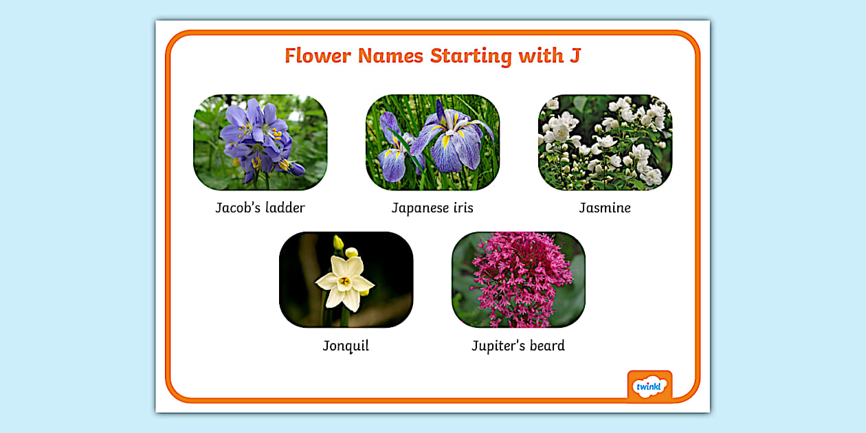 Flower Names Starting with J Display Poster (teacher made)