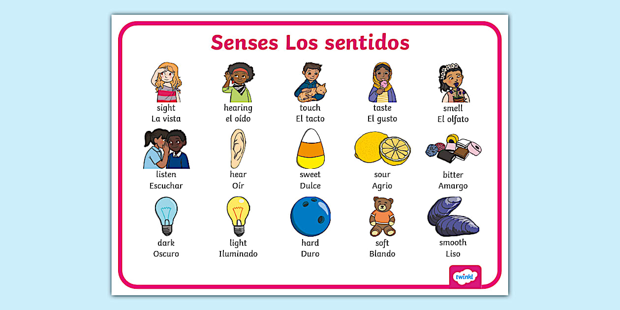 Vocabulario: Los 5 sentidos en inglés | Twinkl - Twinkl