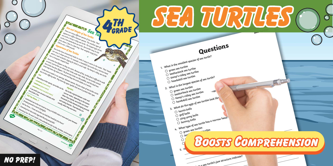 Fourth Grade Sea Turtles Reading Comprehension Worksheet