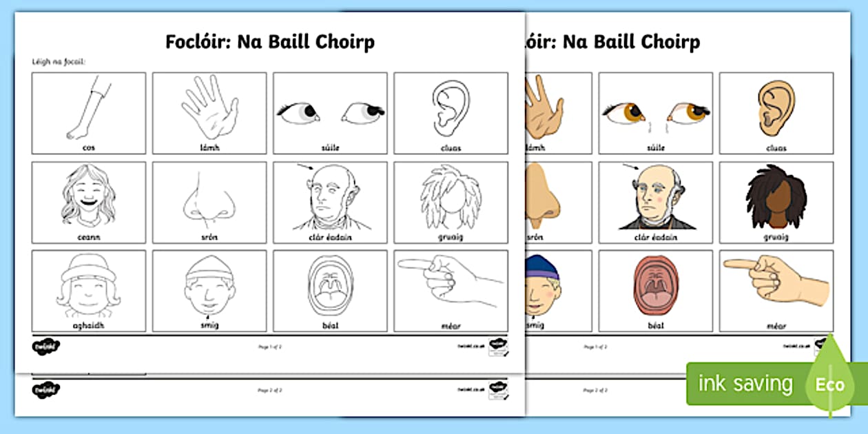 Junior Cycle Parts of the Body Vocabulary Worksheet | Gaeilge