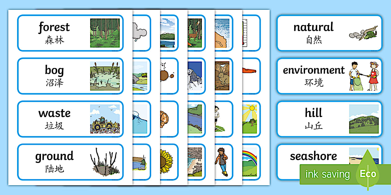 Natural Environment Word Cards - English/Mandarin Chinese - ROI