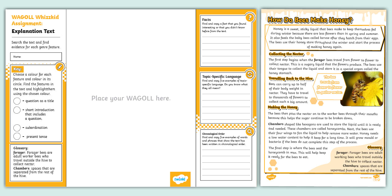 KS1 WAGOLL Whizz-kid Assignment: How Do Bees Make Honey?