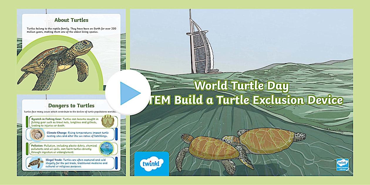 FREE! - World Turtle Day – STEM Build a Turtle Exclusion Device