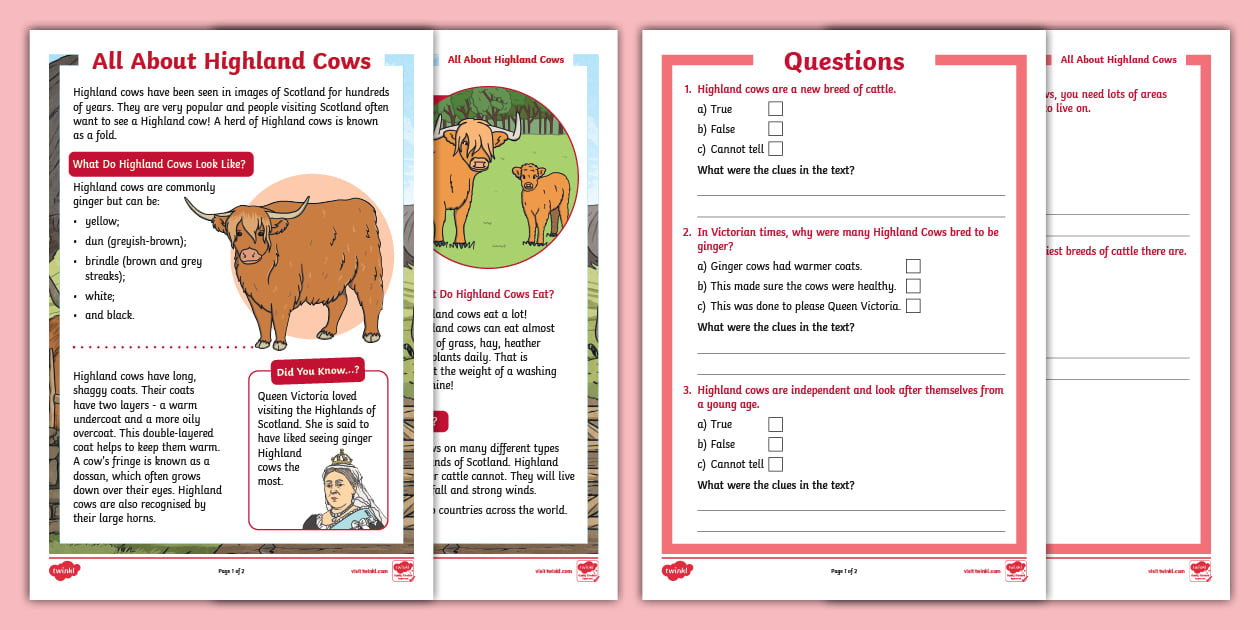 All About Highland Cows Inference Activity Sheet - Twinkl