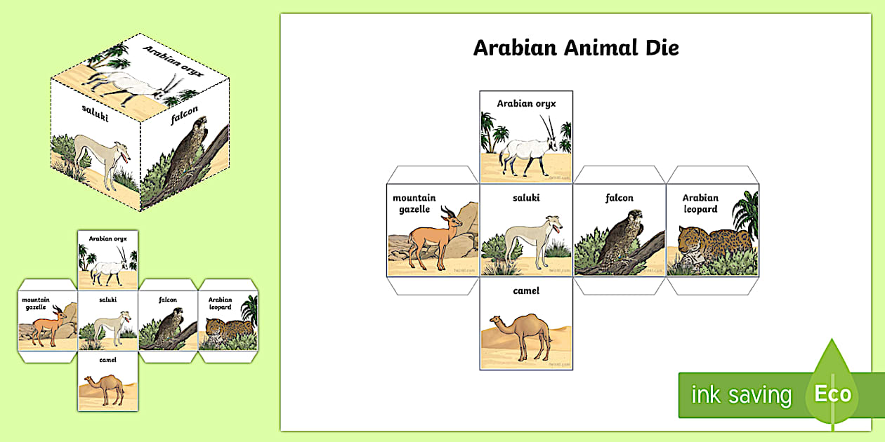 Black and White Arabian Animals Dice Nets (teacher made)